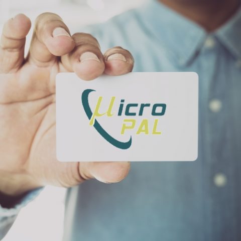 Micro P.A.L. Unipessoal Lda.